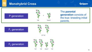 Gen Bio 2 - Mendelian Laws of Inheritance | PPTX