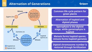 GENERAL BIOLOGY plant reproduction and development | PPTX