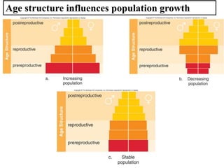 bio215-2015-age structure2023.pptx