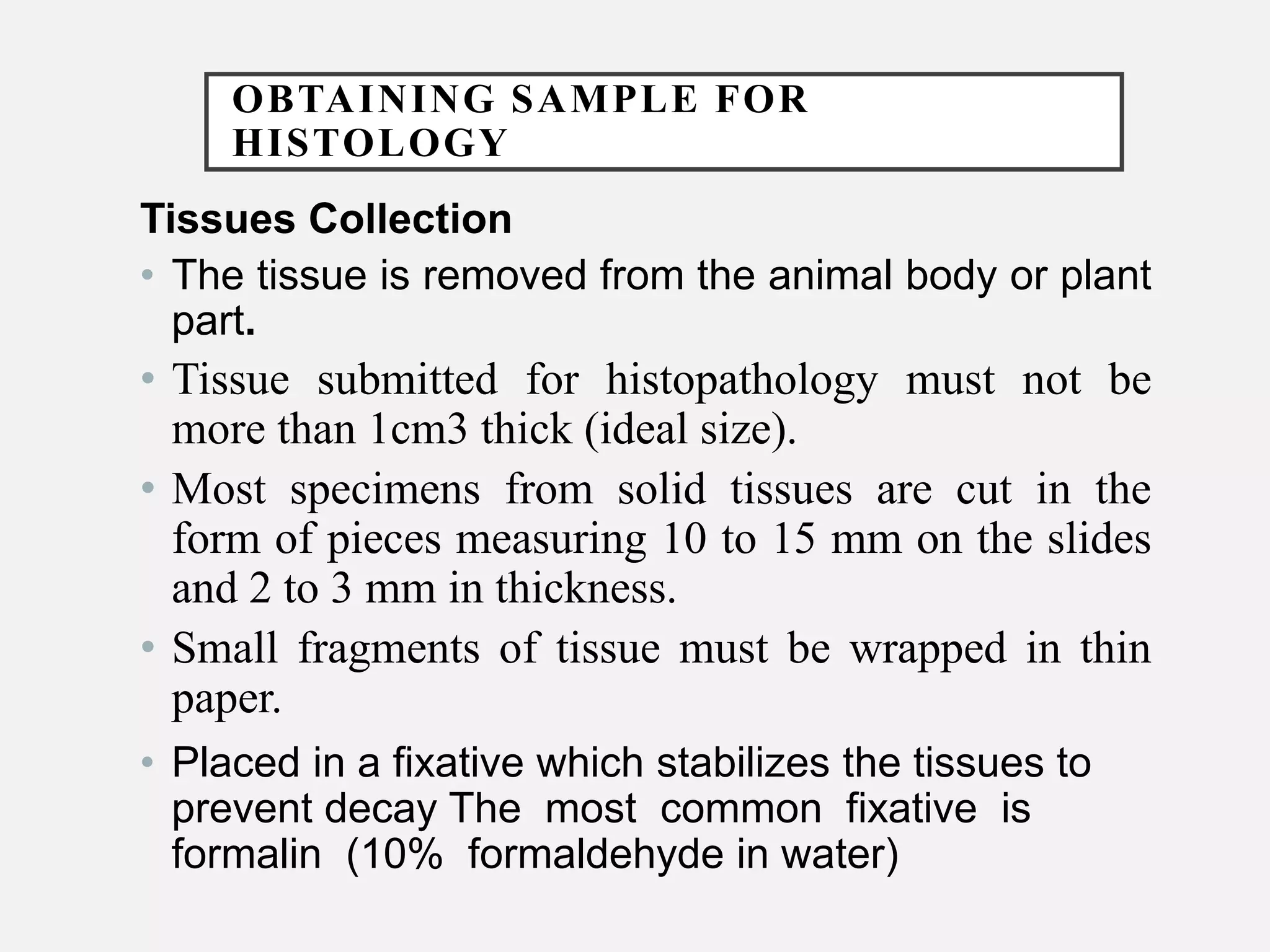 bio2203.pptx