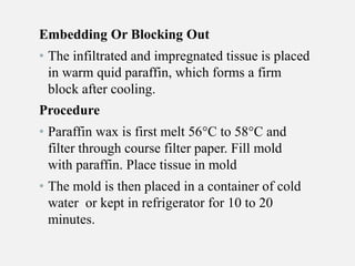 bio2203.pptx
