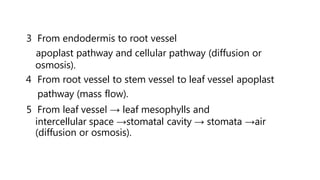 BIO 2203 Lecture 3 WATER TRANSPORT or TRANSLOCATION.pptx