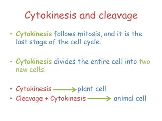 Cell division: Mitosis | PPTX