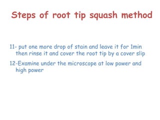 Cell division: Mitosis | PPTX