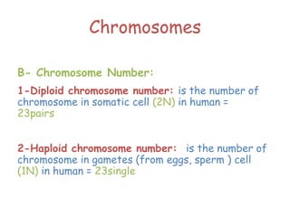 Cell division: Mitosis | PPTX
