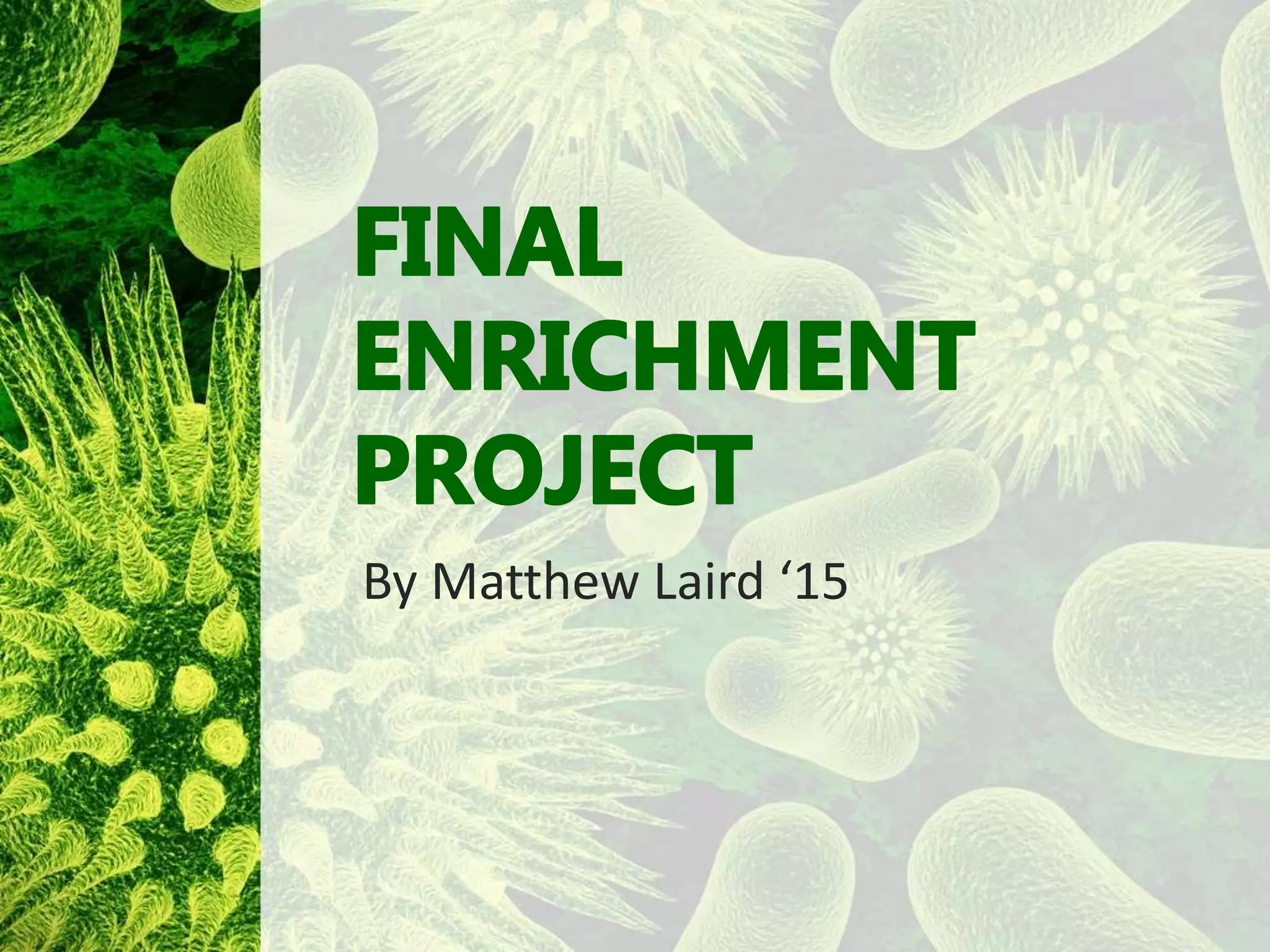 Microbiology Final Enrichment Project | PPT