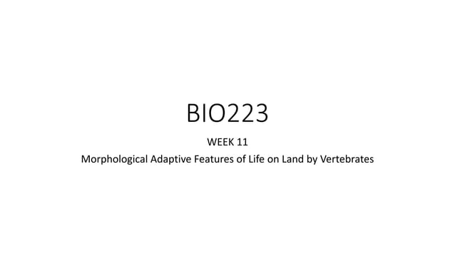 Morphological Adaptive Features of Life on Land by Vertebrates | PPT