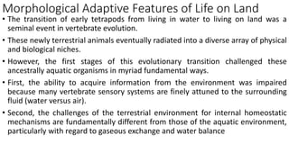 Morphological Adaptive Features of Life on Land by Vertebrates | PPT