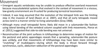 Morphological Adaptive Features of Life on Land by Vertebrates | PPT