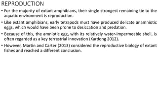 Morphological Adaptive Features of Life on Land by Vertebrates | PPT