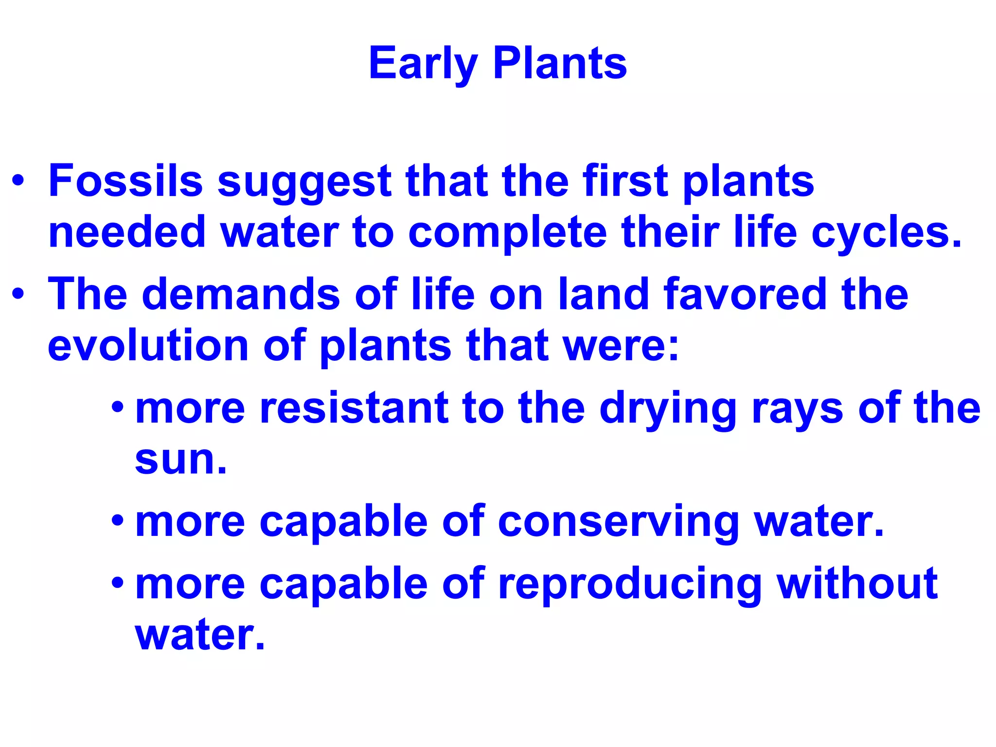 Chapter 22 Lecture- Plants | PPT