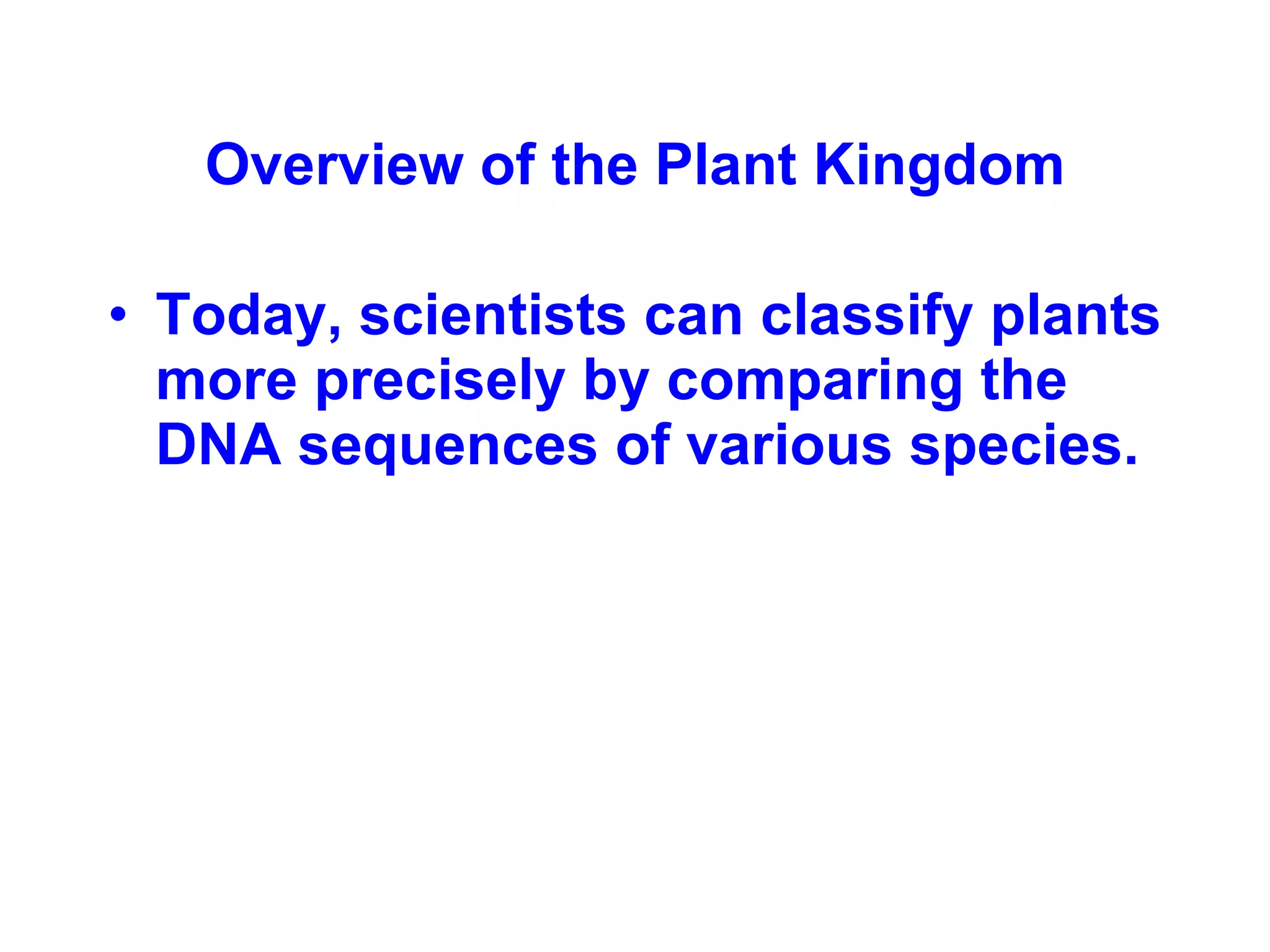 Chapter 22 Lecture- Plants | PPT
