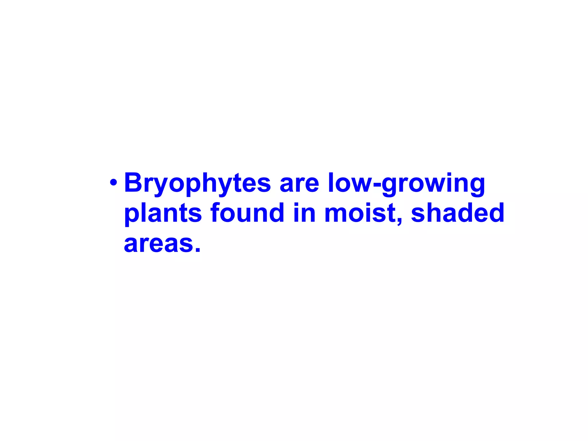 Chapter 22 Lecture- Plants | PPT