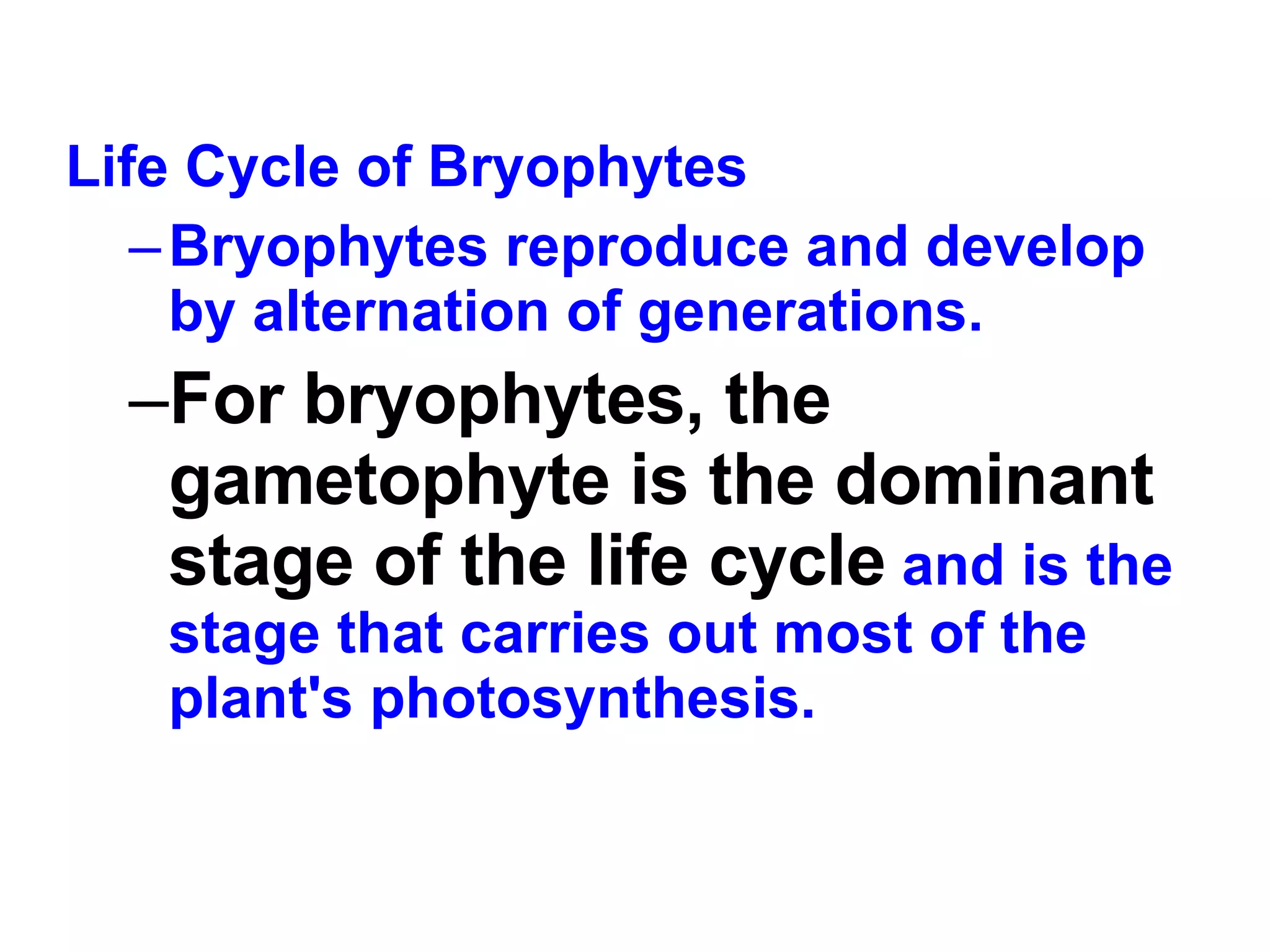 Chapter 22 Lecture- Plants | PPT