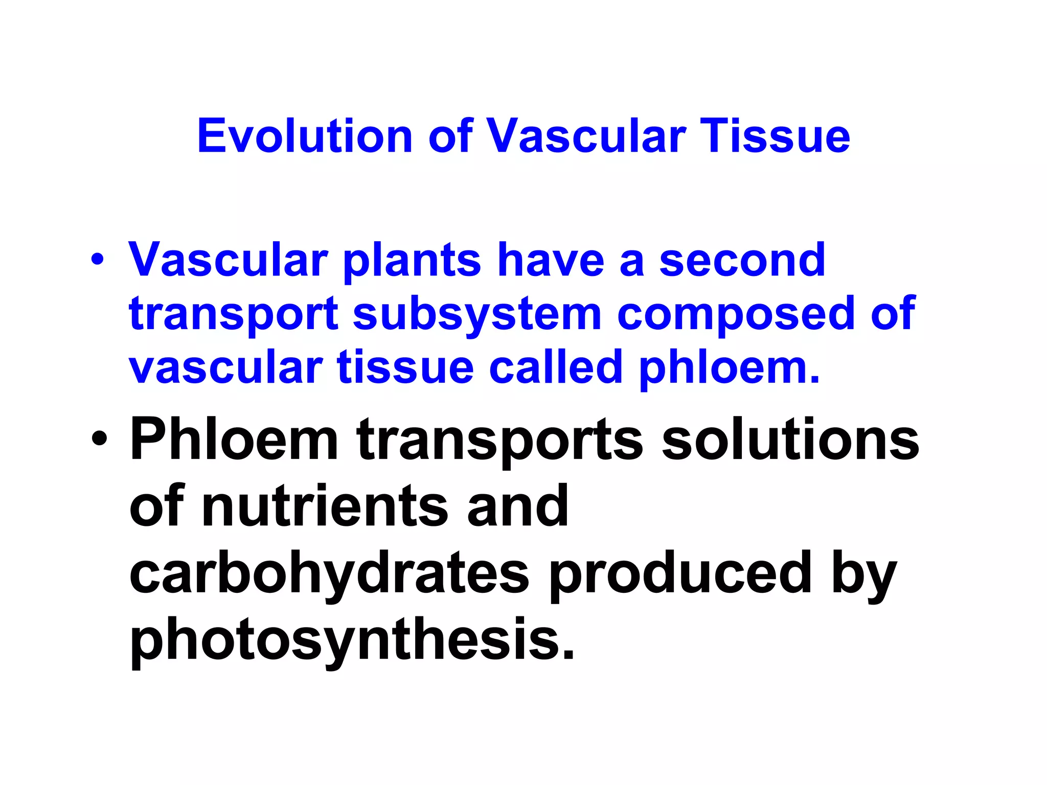 Chapter 22 Lecture- Plants | PPT