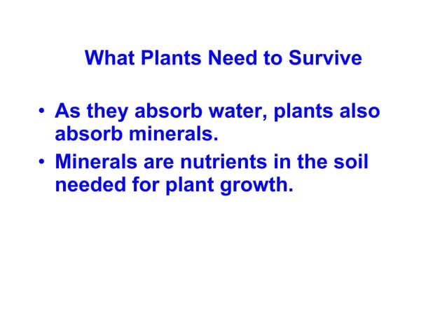Chapter 22 Lecture- Plants | PPT