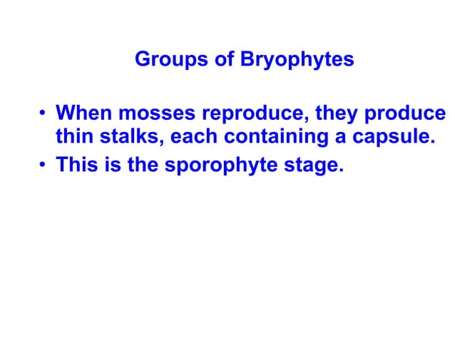 Chapter 22 Lecture- Plants | PPT