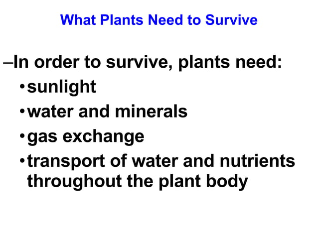 Chapter 22 Lecture- Plants | PPT