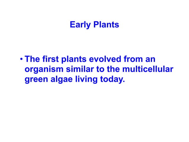 Chapter 22- Plant Diversity | PDF