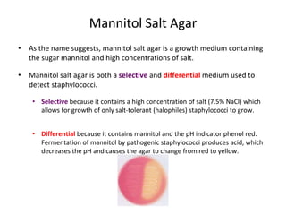 Bio235_ Exe.13 Special Media for isolating bacteria_Fall 19.pptx