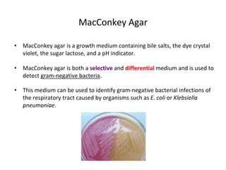 Bio235_ Exe.13 Special Media for isolating bacteria_Fall 19.pptx