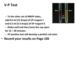 Bio235_Exe.15 Fermentation_Fall19.pptx