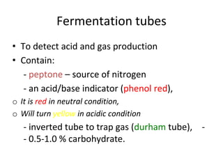 Bio235_Exe.15 Fermentation_Fall19.pptx
