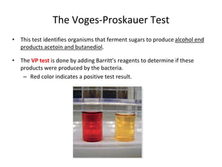 Bio235_Exe.15 Fermentation_Fall19.pptx