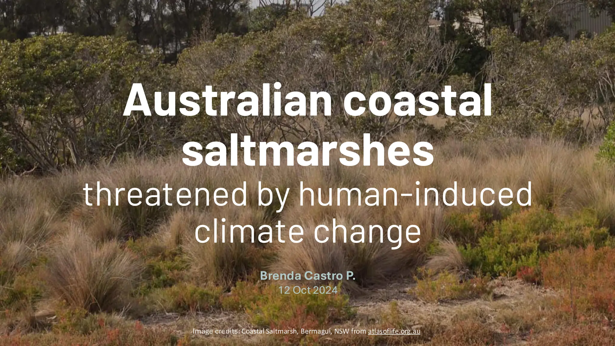 Australian Coastal Saltmarshes and climate change | PDF
