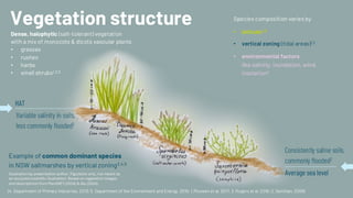 Australian Coastal Saltmarshes and climate change | PDF