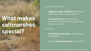 Australian Coastal Saltmarshes and climate change | PDF
