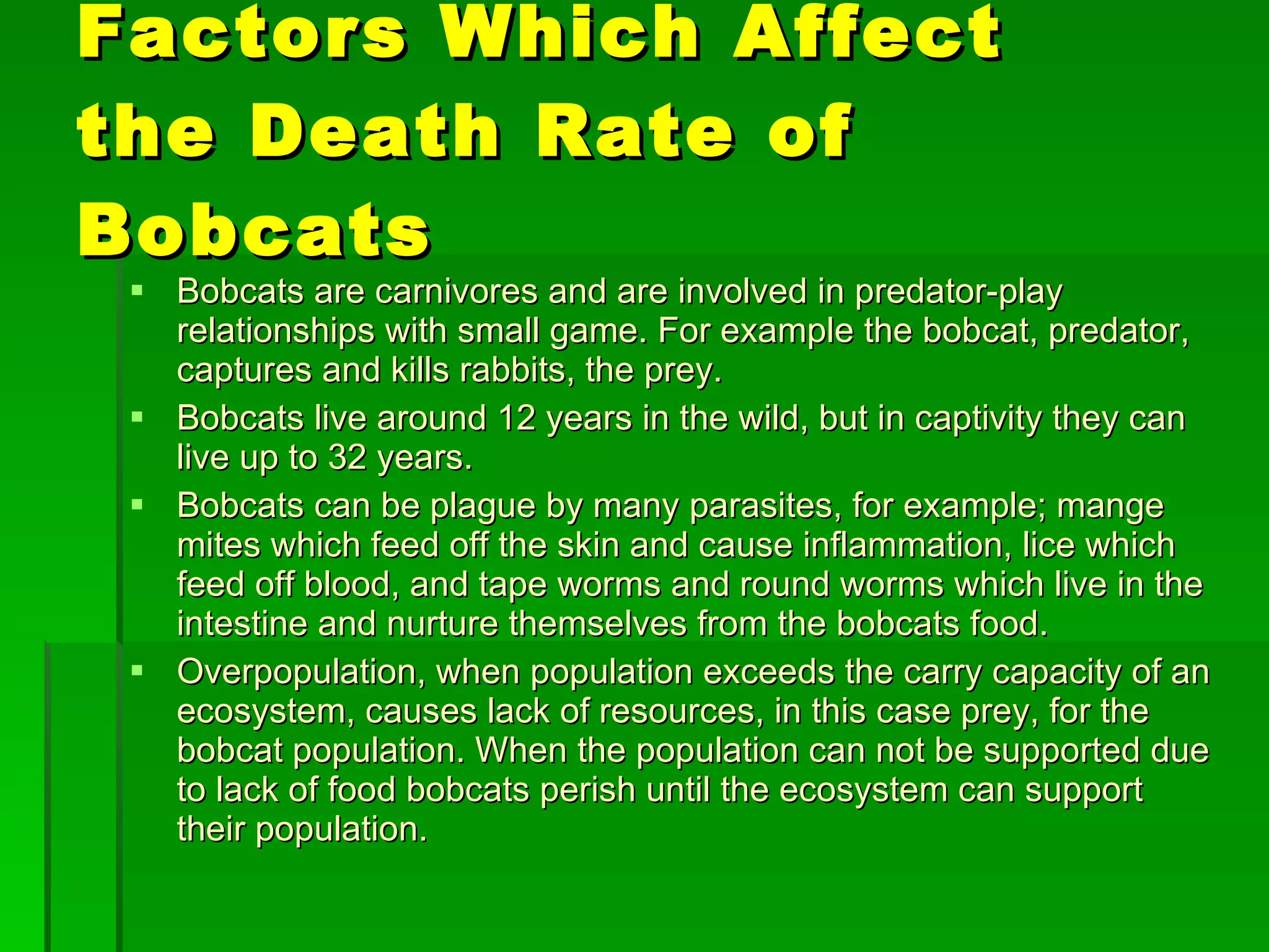 Bio 2 bobcat for school | PPT