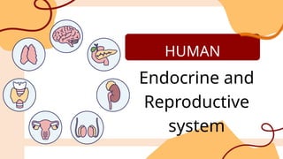 GENERAL BIOLOGY 2 L.2 ENDOCRINE SYSTEM.pptx