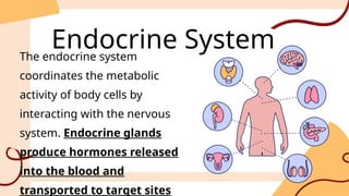 GENERAL BIOLOGY 2 L.2 ENDOCRINE SYSTEM.pptx