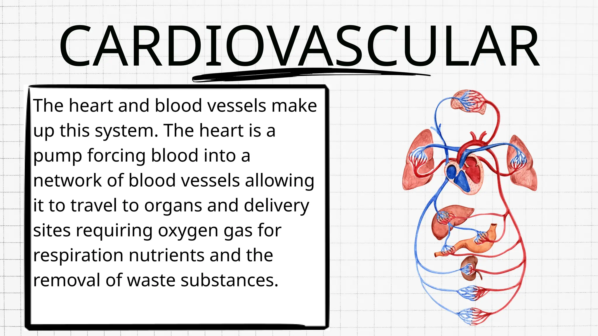 GENERAL BIOLOGY 2 L.3 CARDIOVASCULAR SYSTEM.pptx