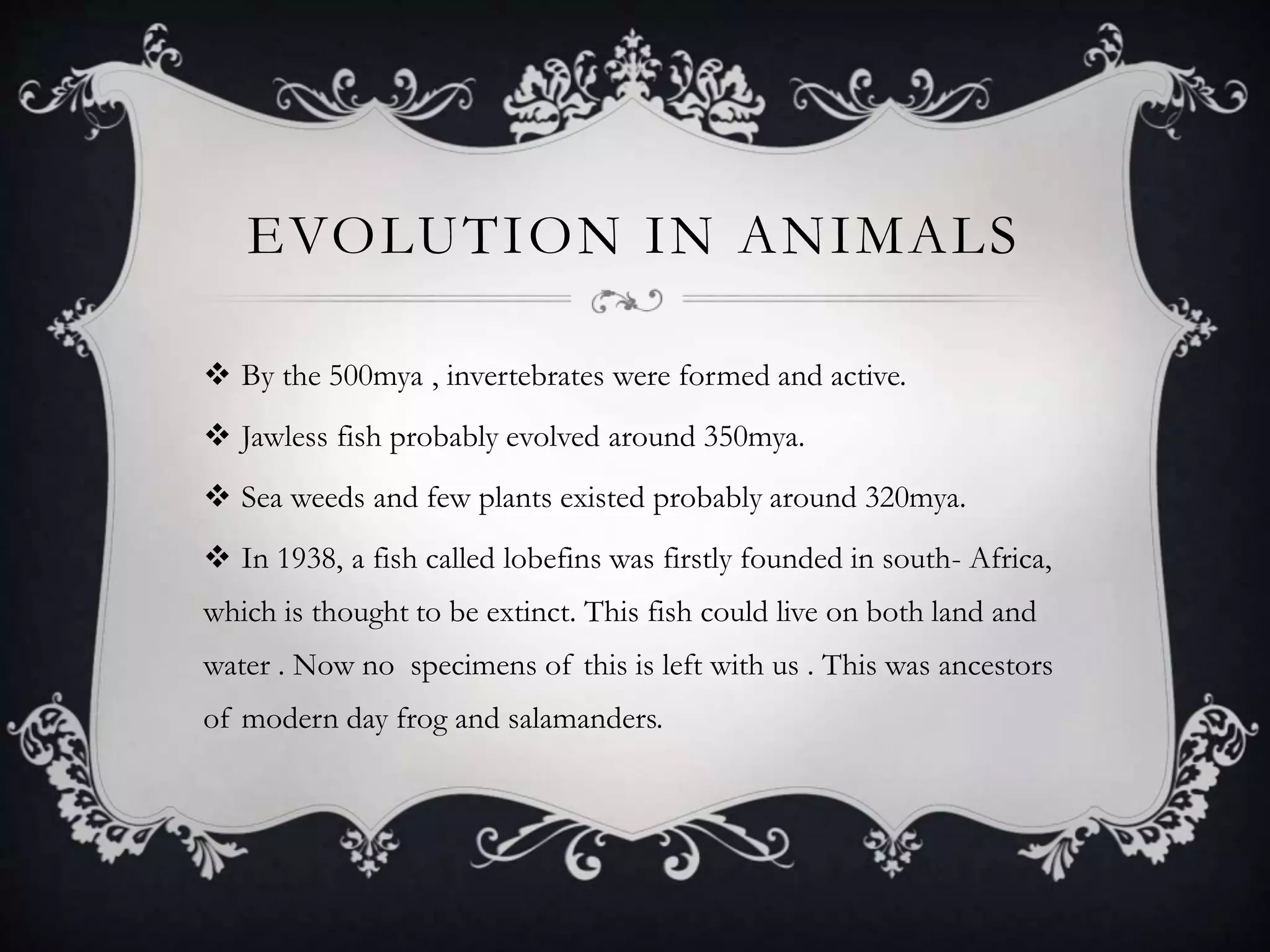 EVOLUTION CLASS 12 | PPTX