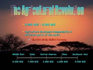 EVOLUTION CLASS 12 | PPTX