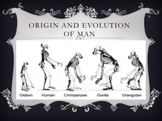 EVOLUTION CLASS 12 | PPTX