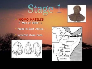 EVOLUTION CLASS 12 | PPTX