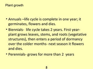 Plant structure and growth 2 | PPT