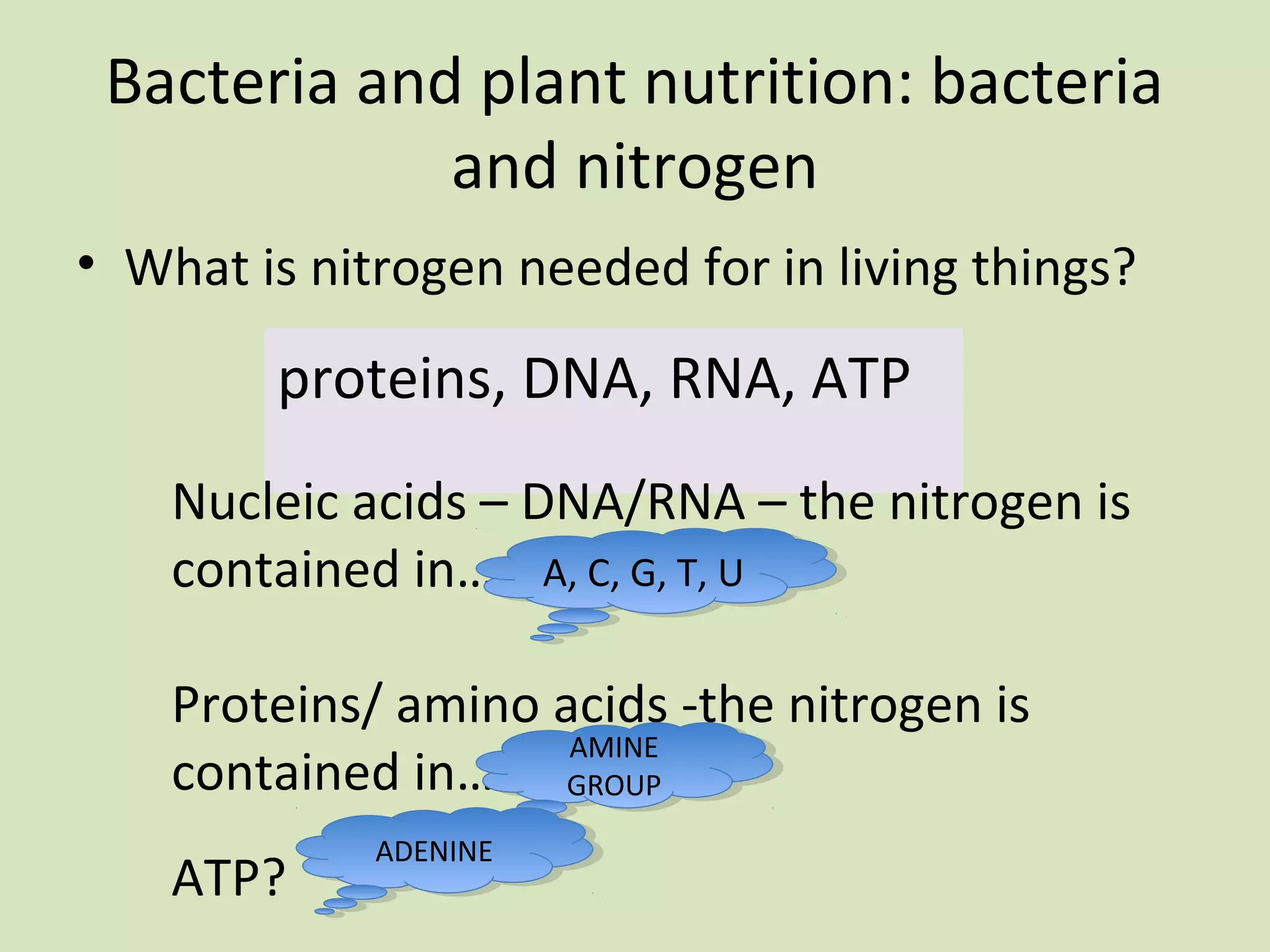 Plant nutrition | PPT | Agriculture | Industries