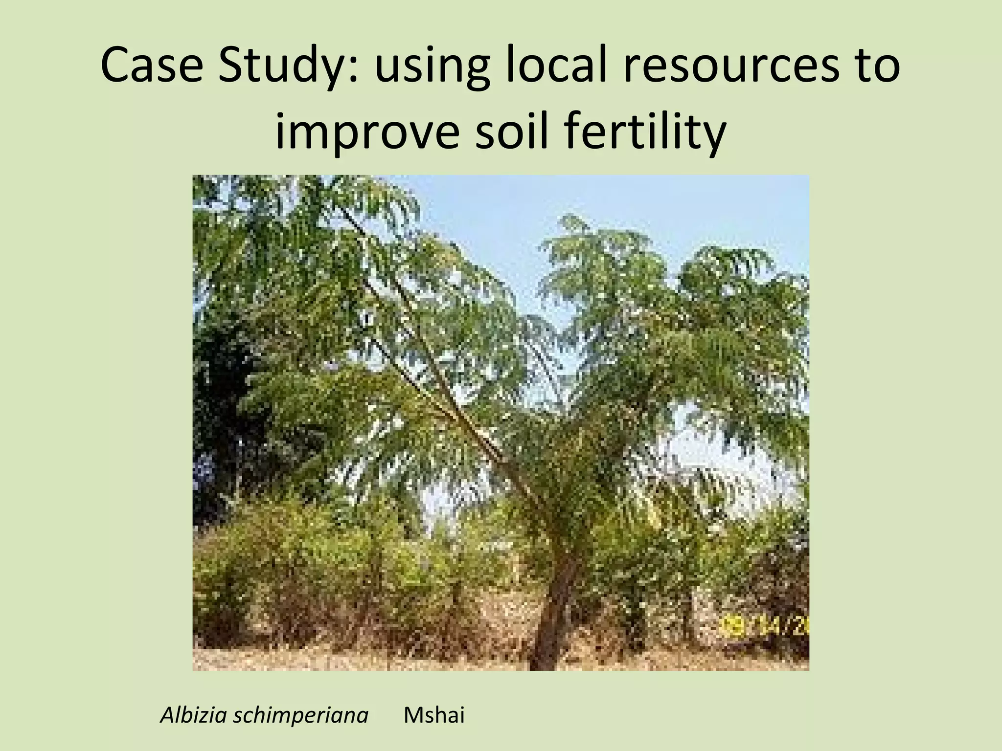 Plant nutrition | PPT | Agriculture | Industries