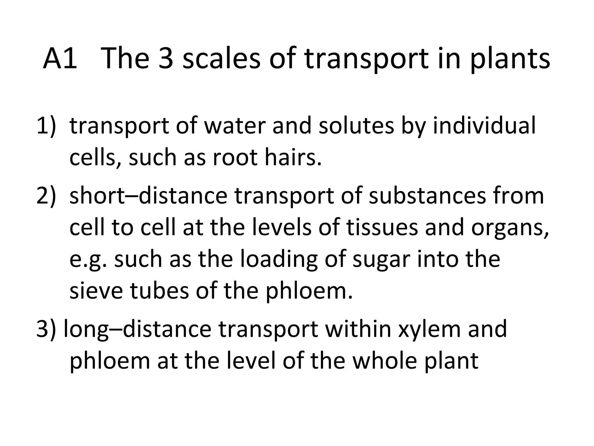 Plant transport | PPT