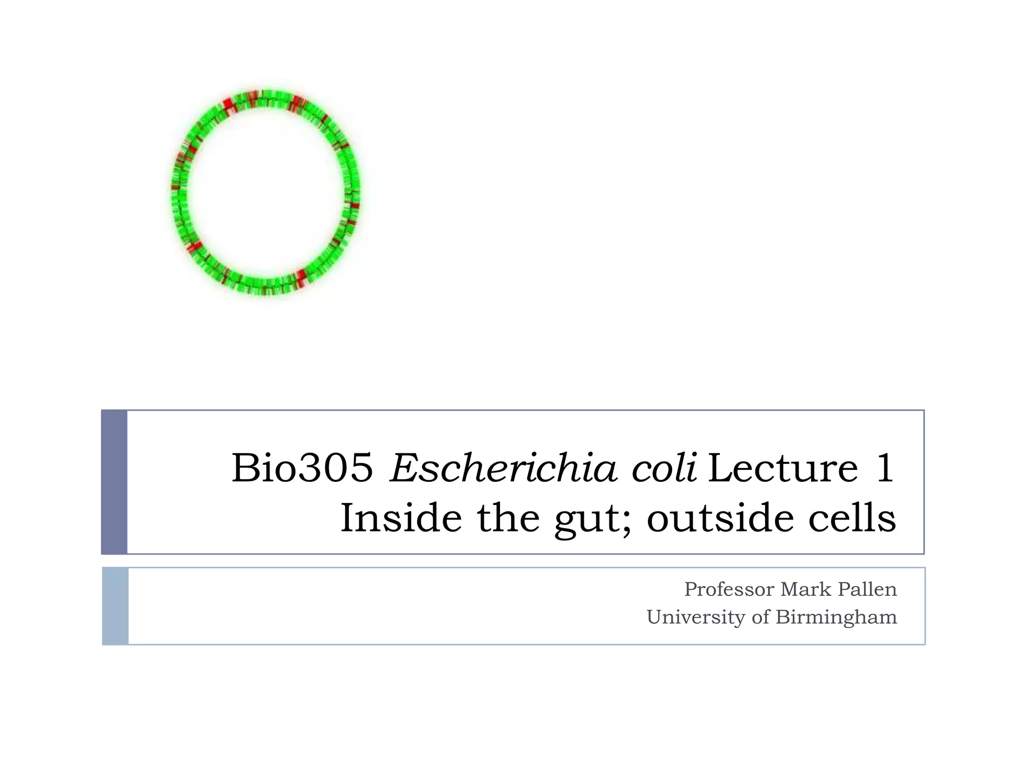 Bio305 2012 Lecture 1 on E. coli | PPTX | Chemistry | Science