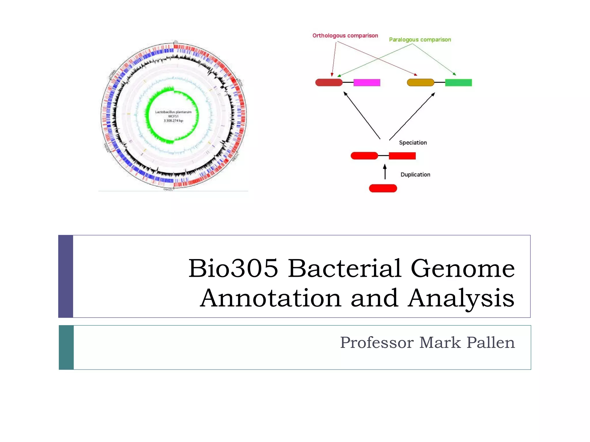 Bio305 genome analysis and annotation 2012 | PPT | Genetics | Science
