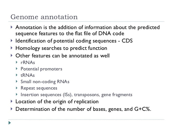 Bio305 genome analysis and annotation 2012