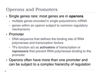 Bio305 Lecture on Gene Regulation in Bacterial Pathogens | PPTX