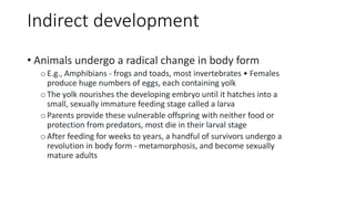Bio 306_ Introduction to animal development LT 1-1.pptx