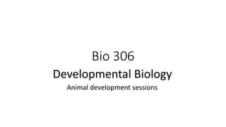 Bio 306_ Introduction to animal development LT 1-1.pptx