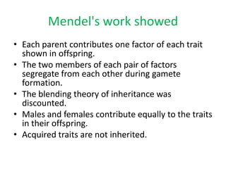 Bio3 0910 Lec6 Mendel | PPT